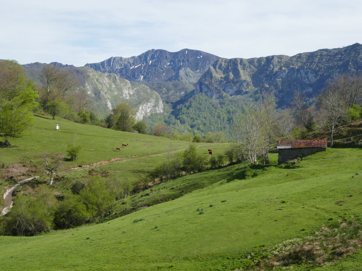 Ruta de cicloturismo. Sellaño, San Juan de Beleño y Les Bedules ...