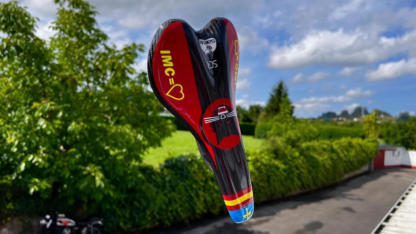 SAÉVID Reparaciones Fibra de Carbono - Turismo Asturias