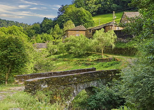 Ruta Mina As Talladas: arte, naturaleza y minería en Oscos - Turismo ...