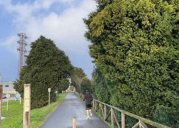 Vía Verde de La Camocha: historia minera y paisajes de Gijón - Turismo ...