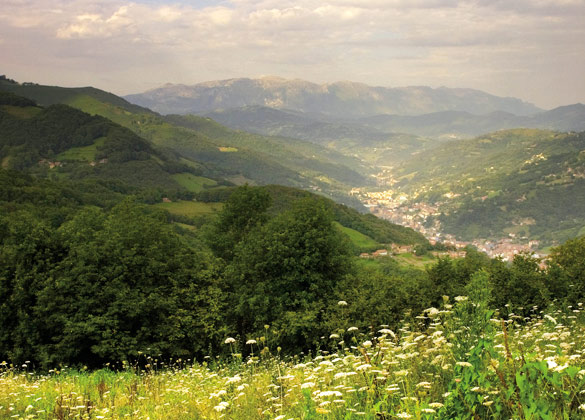 Vía Verde del Valle de Turón: Naturaleza e historia minera en Asturias ...