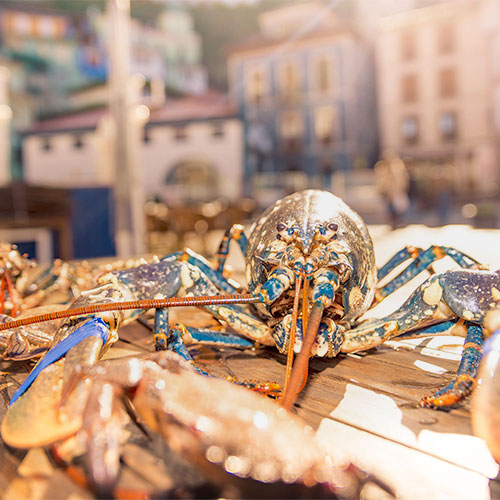 Pescados y mariscos de Asturias, un tesoro gastronómico único - Turismo ...